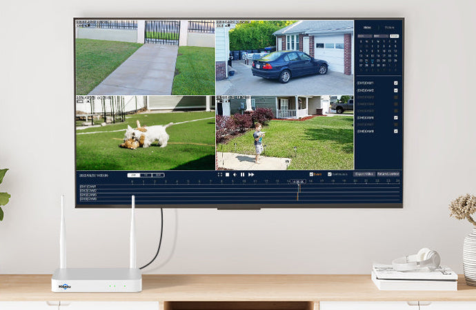 Security Camera Lifespan: How Long They Last & 7 Ways to Extend It – Hiseeu